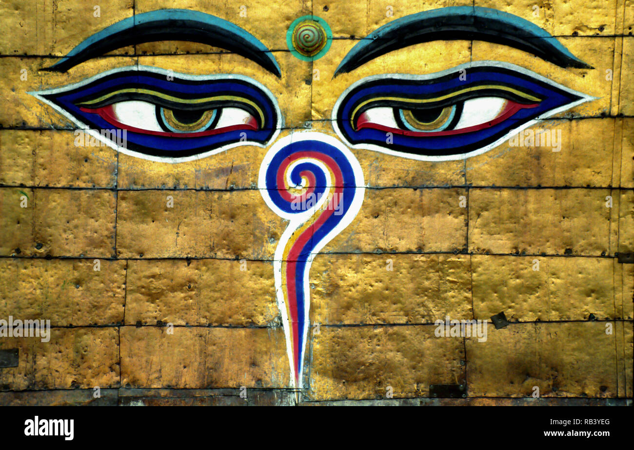 Wisdom eyes hi-res stock photography and images - Alamy