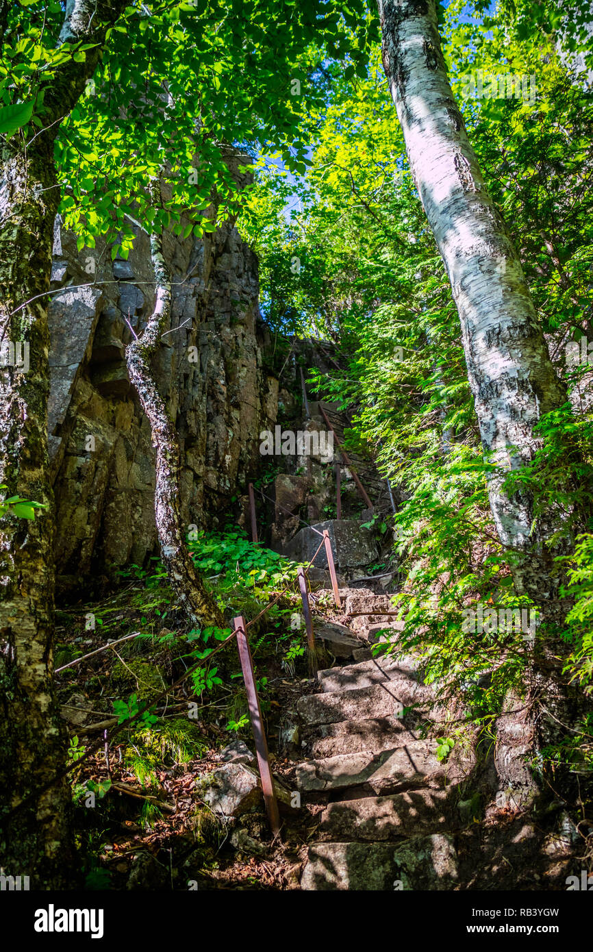 The Beech Cliff Trail in Acadia National Park, Maine Stock Photo - Alamy