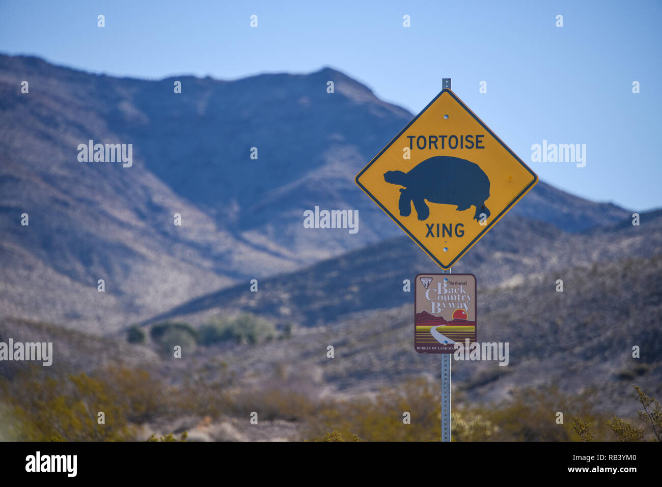 Tortoise warning sign hi-res stock photography and images - Alamy