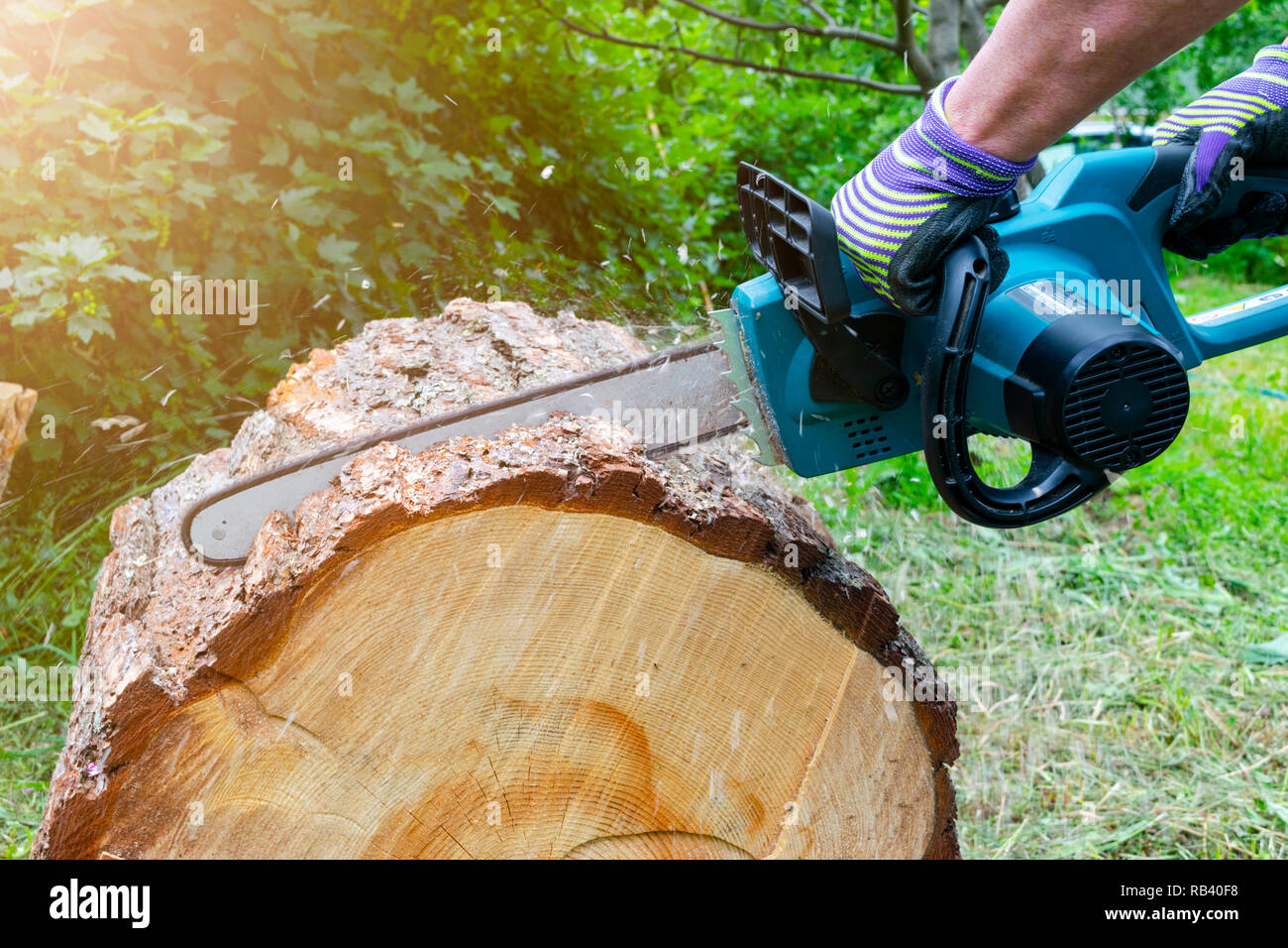 Chainsaw. Chainsaw in move cutting wood. Man cutting wood with saw ...
