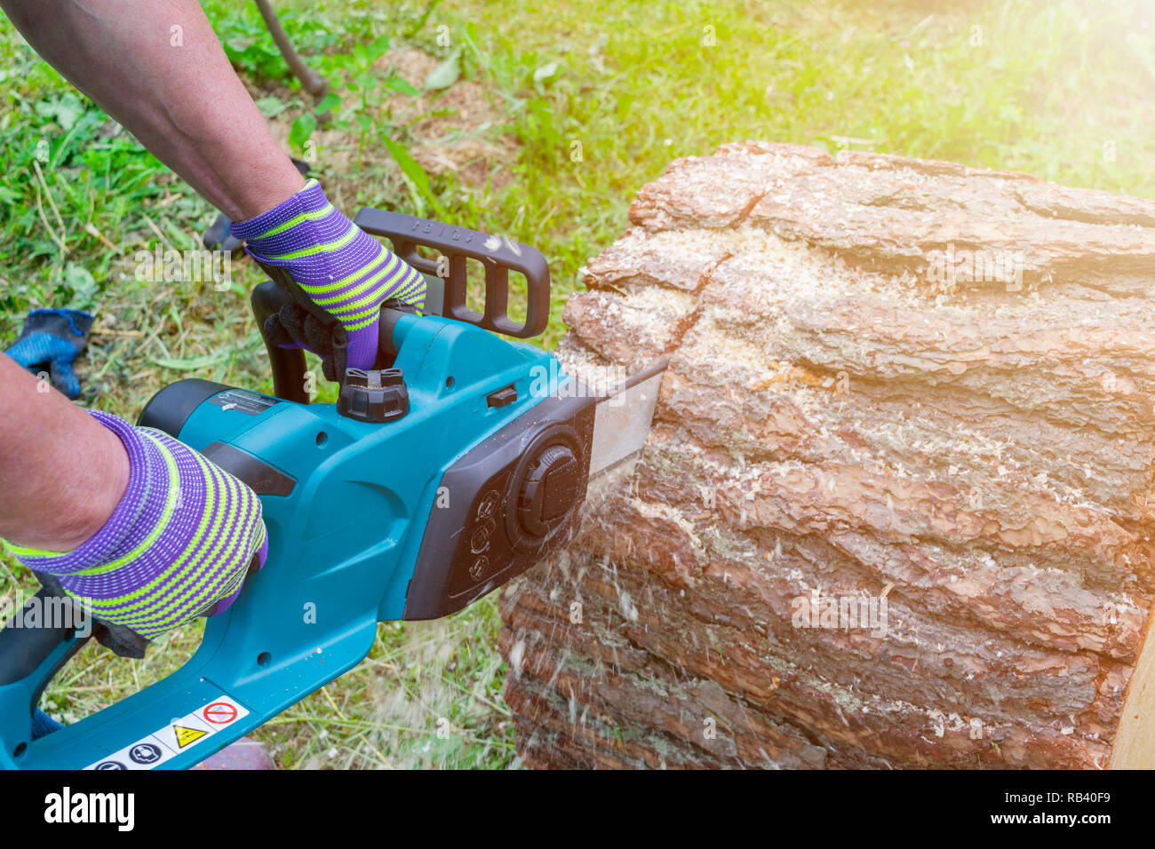 Chainsaw. Chainsaw in move cutting wood. Man cutting wood with saw ...