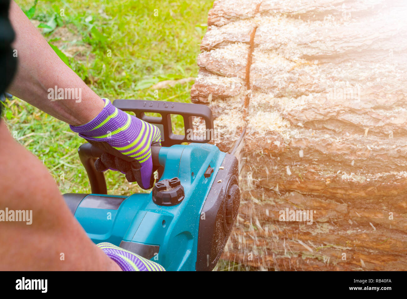 Chainsaw. Chainsaw in move cutting wood. Man cutting wood with saw ...