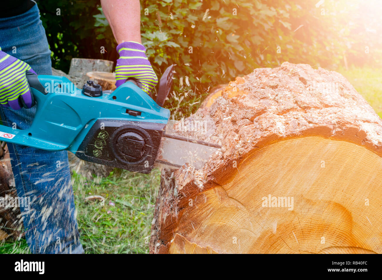 Chainsaw. Chainsaw in move cutting wood. Man cutting wood with saw ...