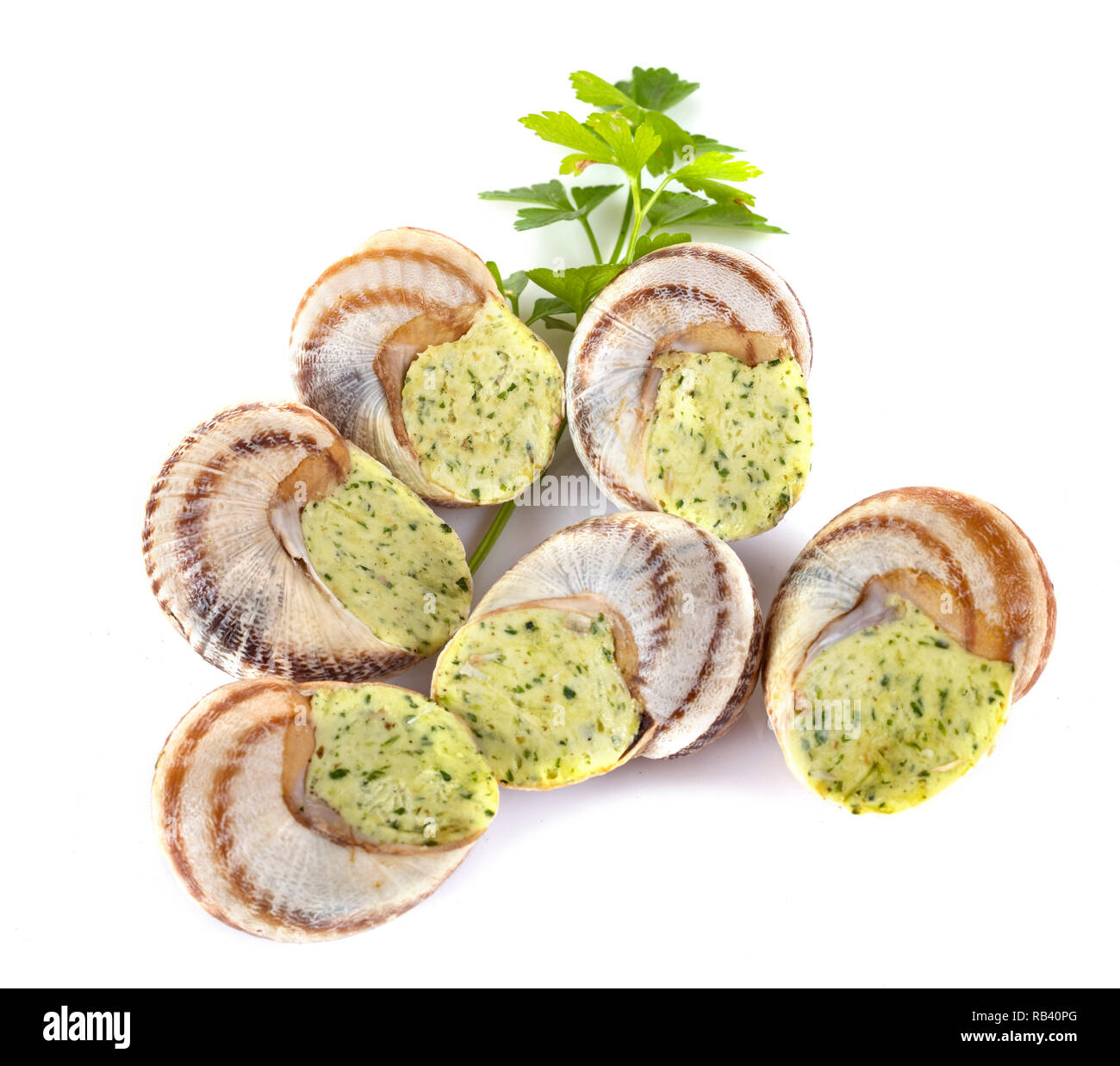 stuffed snails in front of white background Stock Photo - Alamy