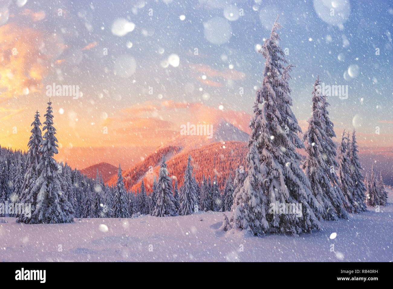 Christmas snow scene hi-res stock photography and images - Alamy