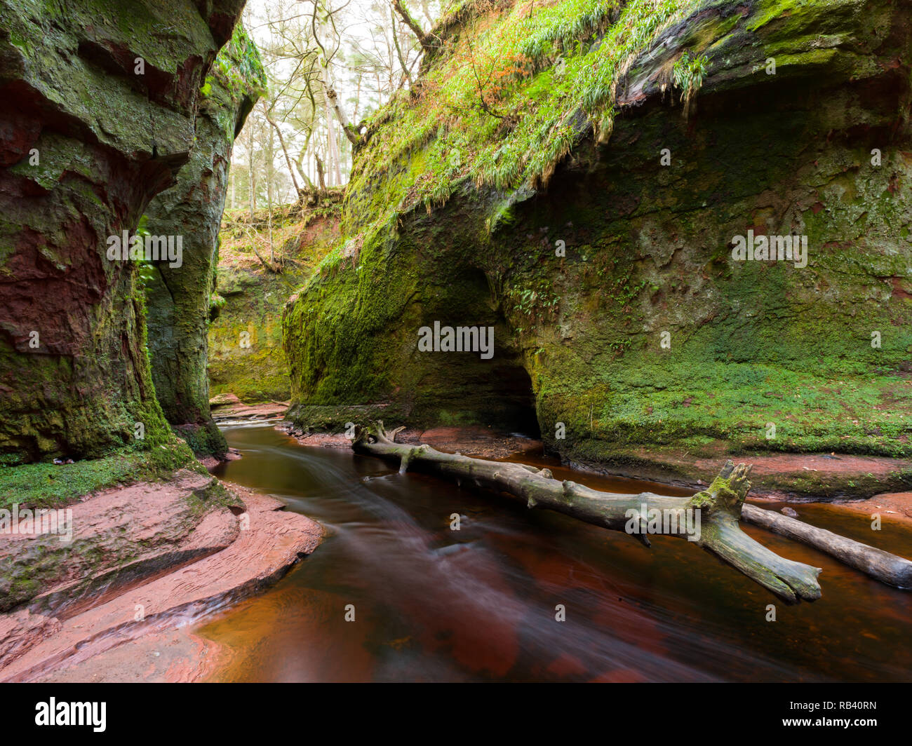 Devil's Pulpit - Finnich Glen hidden river cliffs in Scotland Stock ...