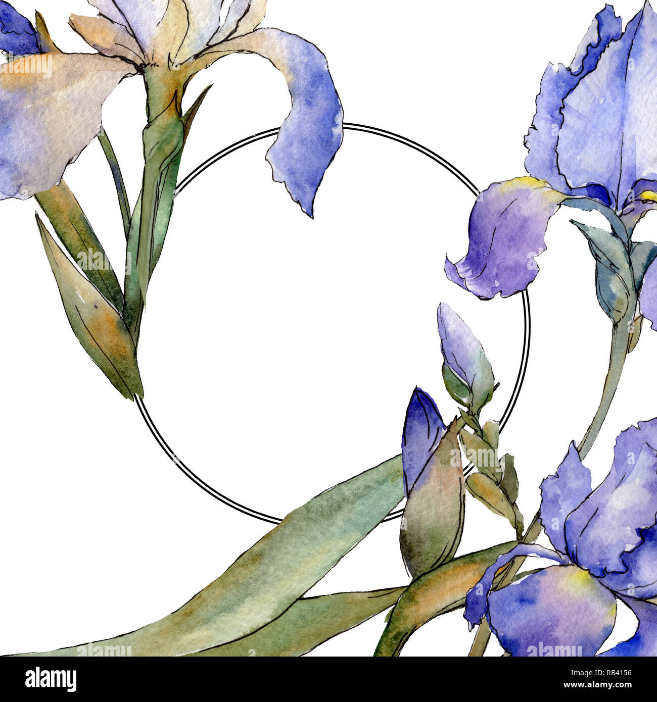 Iris Flower Watercolor