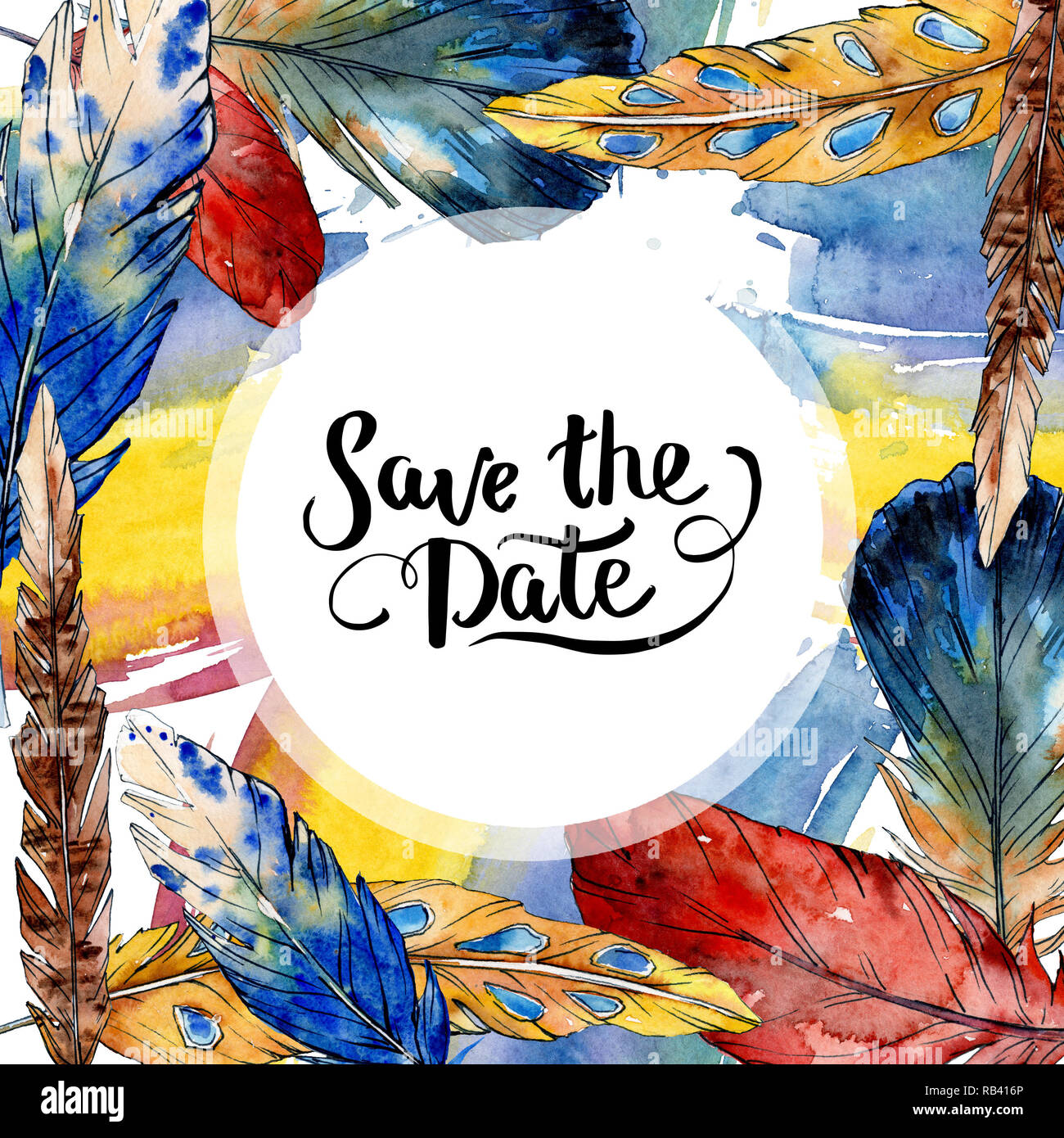 Watercolor bird feather from wing isolated. Frame border ornament ...