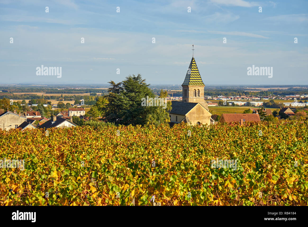 Burgundy Landscape Incorporating A Typical Church and Vineyard in Fixin ...