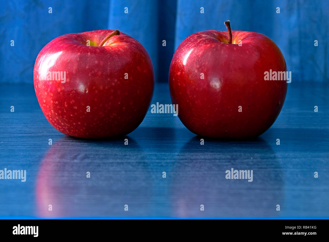 Two shiny red apples on reflective blue table top and blue background ...