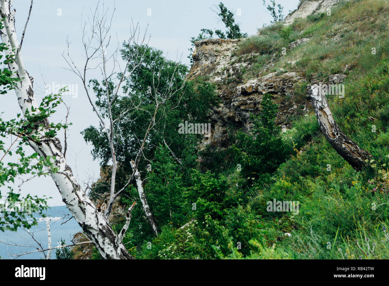 landscape river cliff grass on the sky background Stock Photo - Alamy