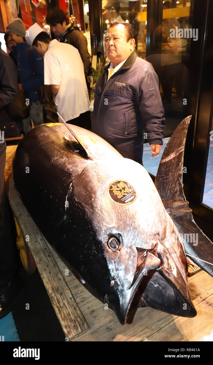 Bluefin Tuna Record Price The First Tuna Auction Of 2025 Kicked Off At