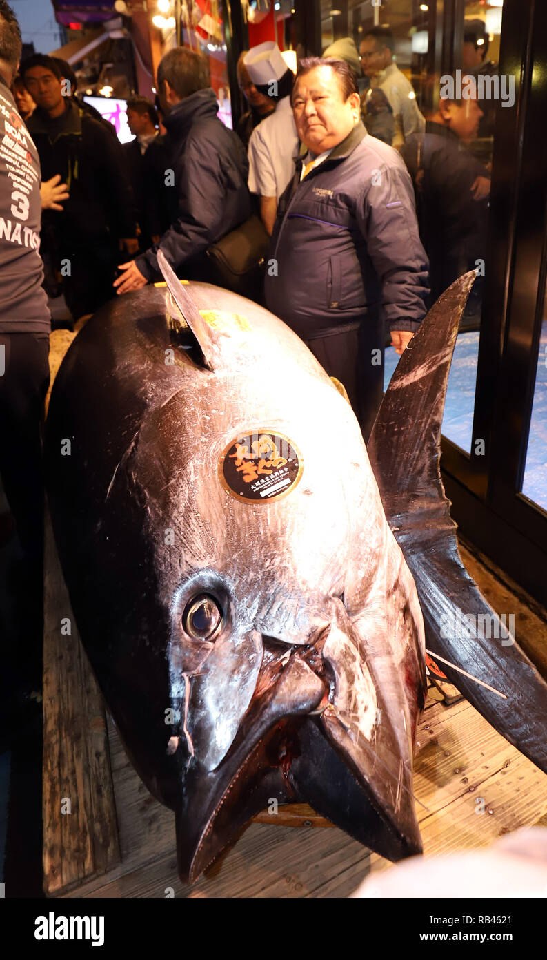 Record Tuna Price