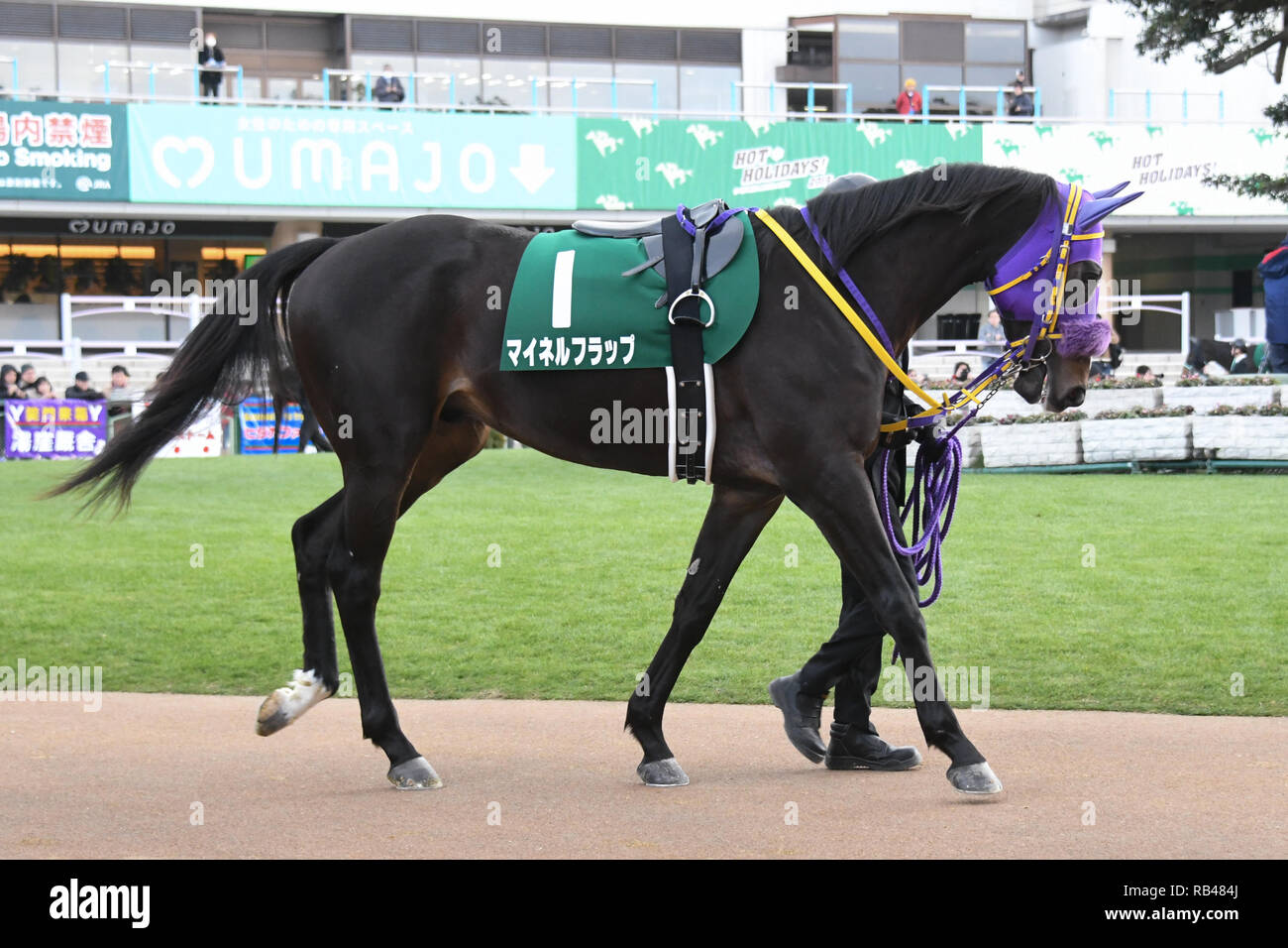 Kyoto, Japan. 6th Jan, 2019. Meiner Flap Horse Racing : Meiner Flap is ...