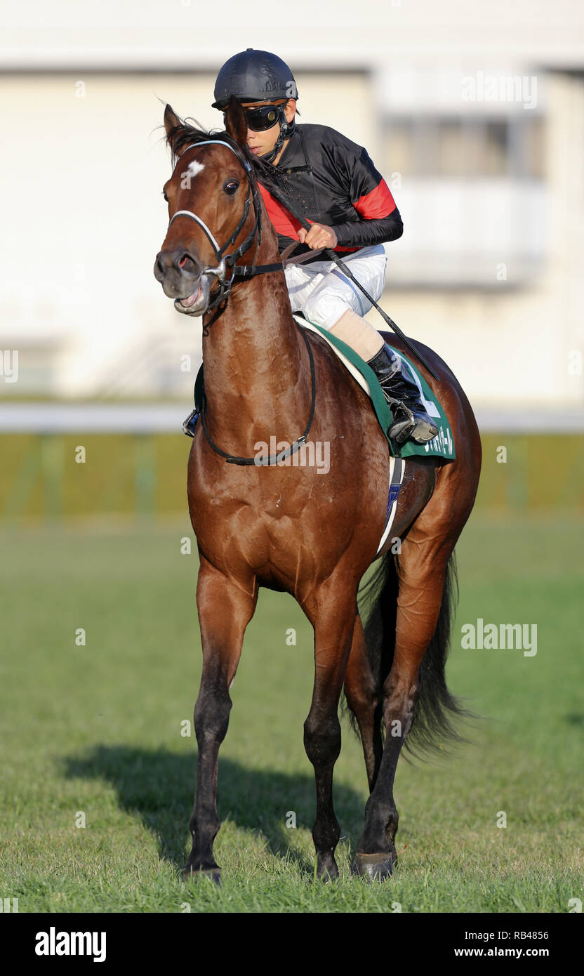 Kyoto, Japan. 6th Jan, 2019. Val d'Isere (Yuichi Kitamura) Horse Racing ...
