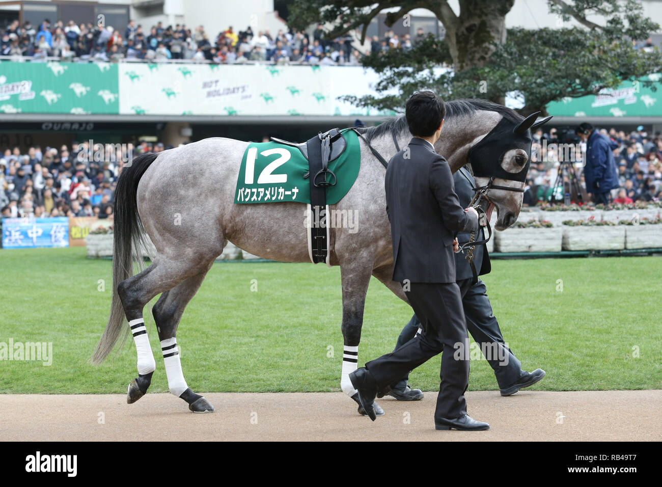 Kyoto, Japan. 5th Jan, 2019. Pax Americana Horse Racing : Pax Americana ...