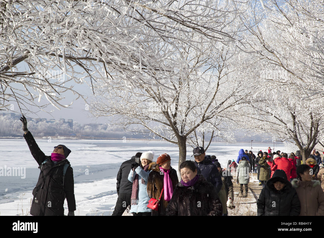 Jili, Jili, China. 5th Jan, 2019. Jilin, CHINA-Stunning rime scenery ...