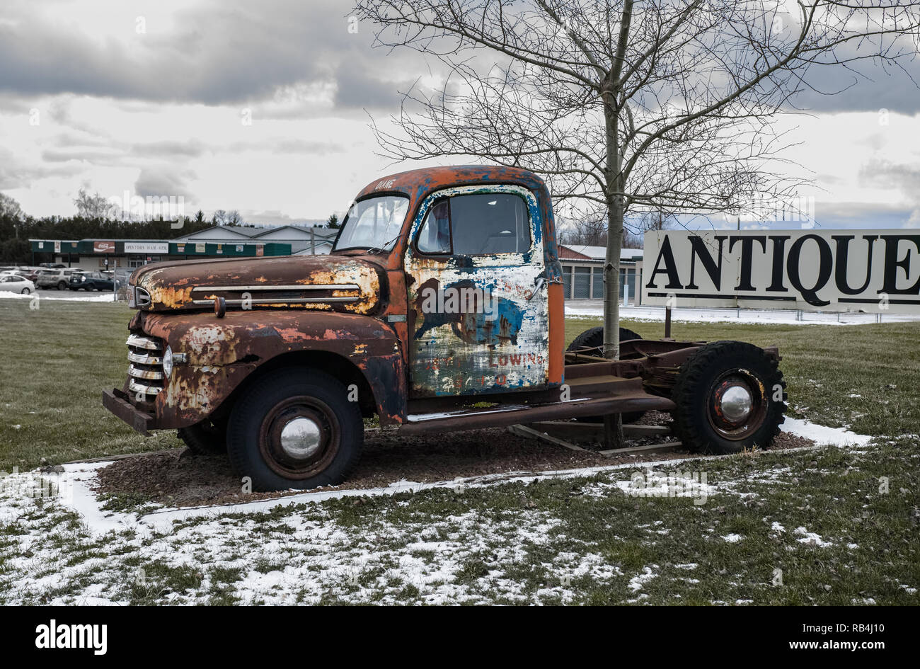 A tree grows through the frame of this venerable American pickup truck ...