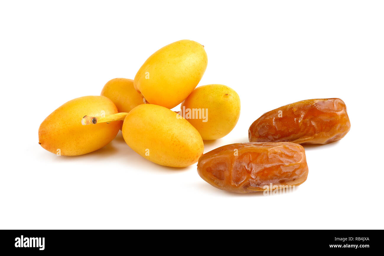 fresh and dry date palm fruit on white background Stock Photo - Alamy