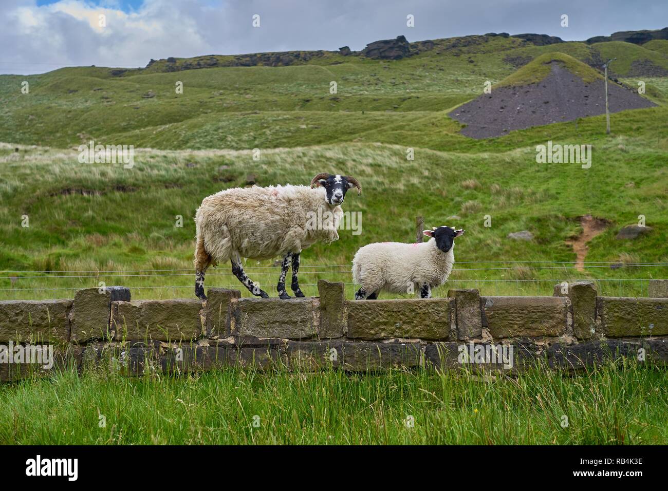 Standedge tunnel hi-res stock photography and images - Alamy