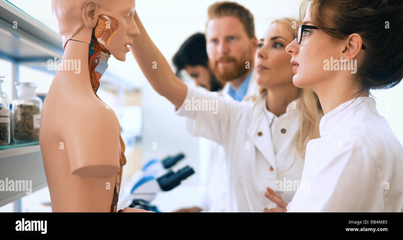 Students of medicine examining anatomical model in classroom Stock ...