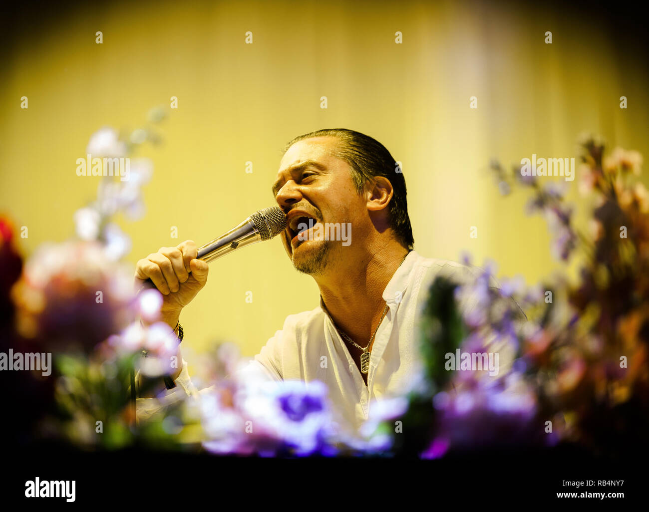 Michael allan patton hi-res stock photography and images - Alamy