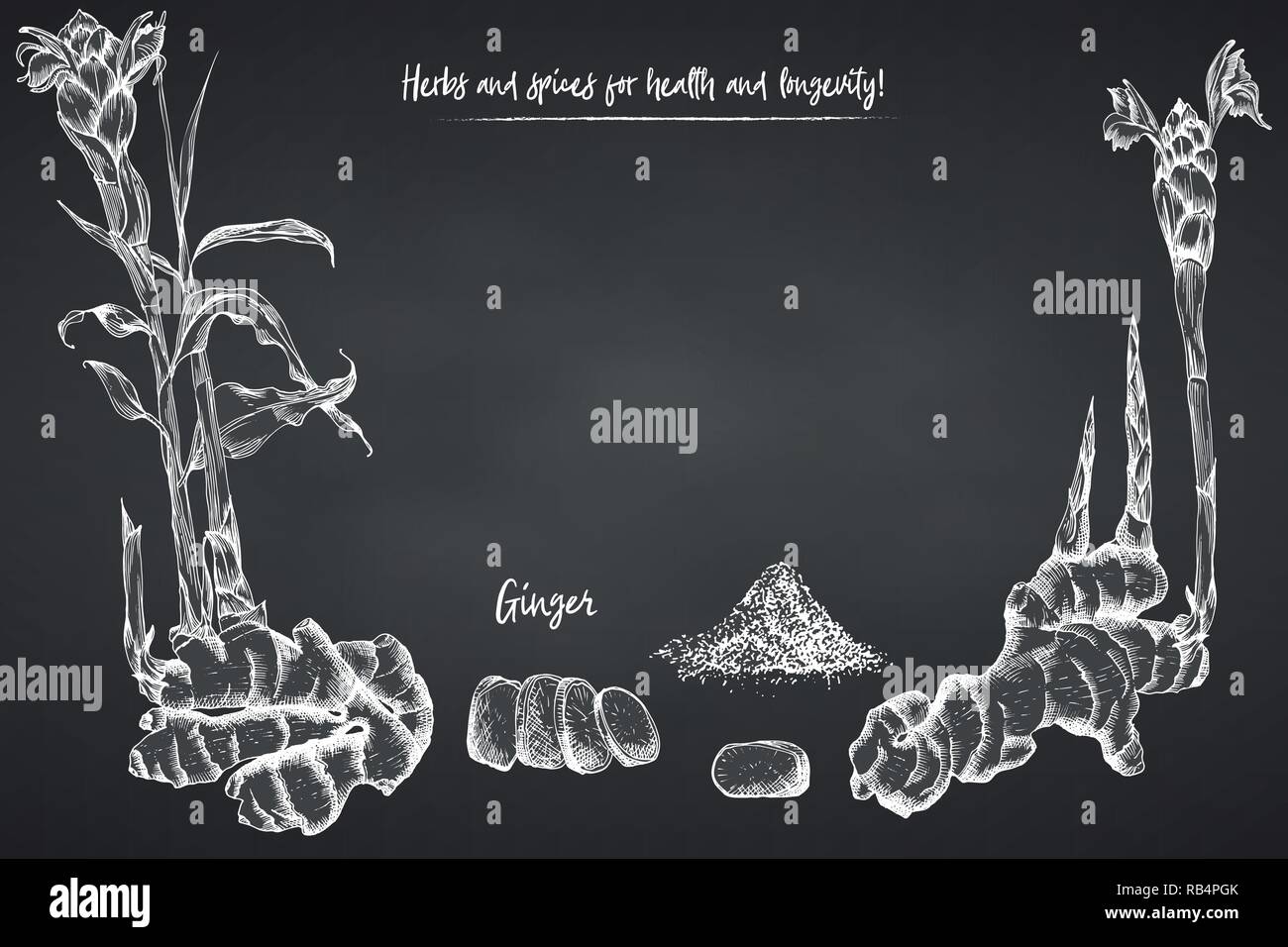 Set hand drawn of Ginger roots, lives and flowers in white chalk color ...