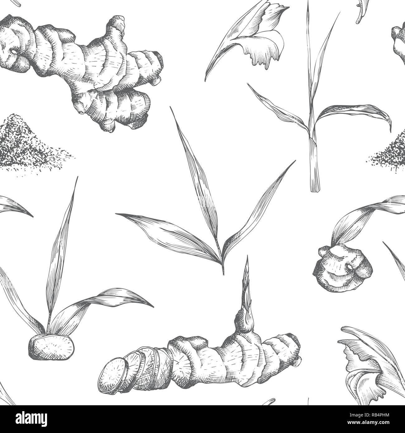 Seamless pattern hand drawn of Ginger roots, lives and flowers in black ...