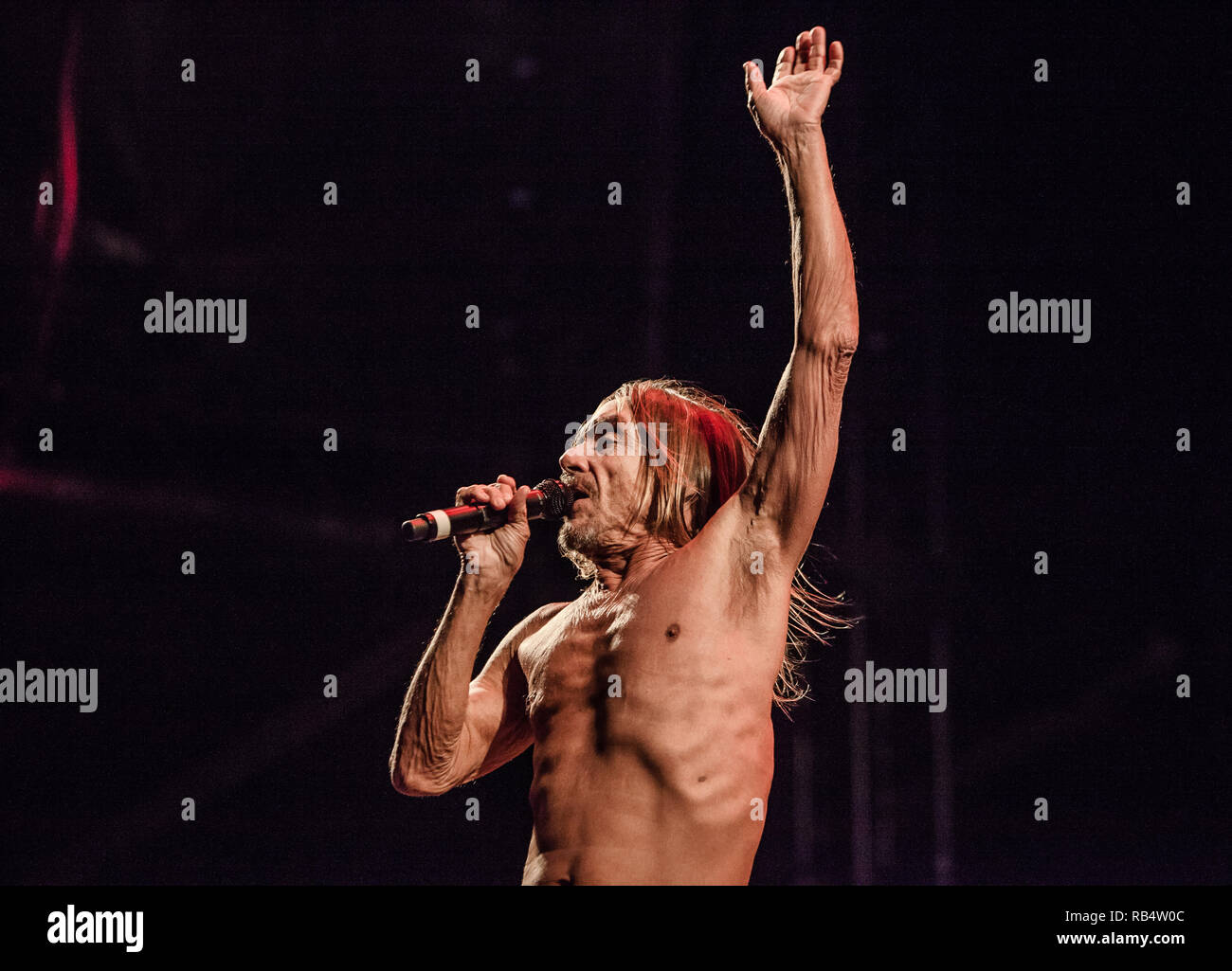 Iggy Pop Singer Stock Photos & Iggy Pop Singer Stock Images - Alamy