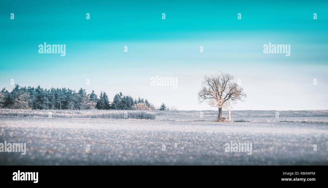 Beauty and diversity of nature hi-res stock photography and images - Alamy