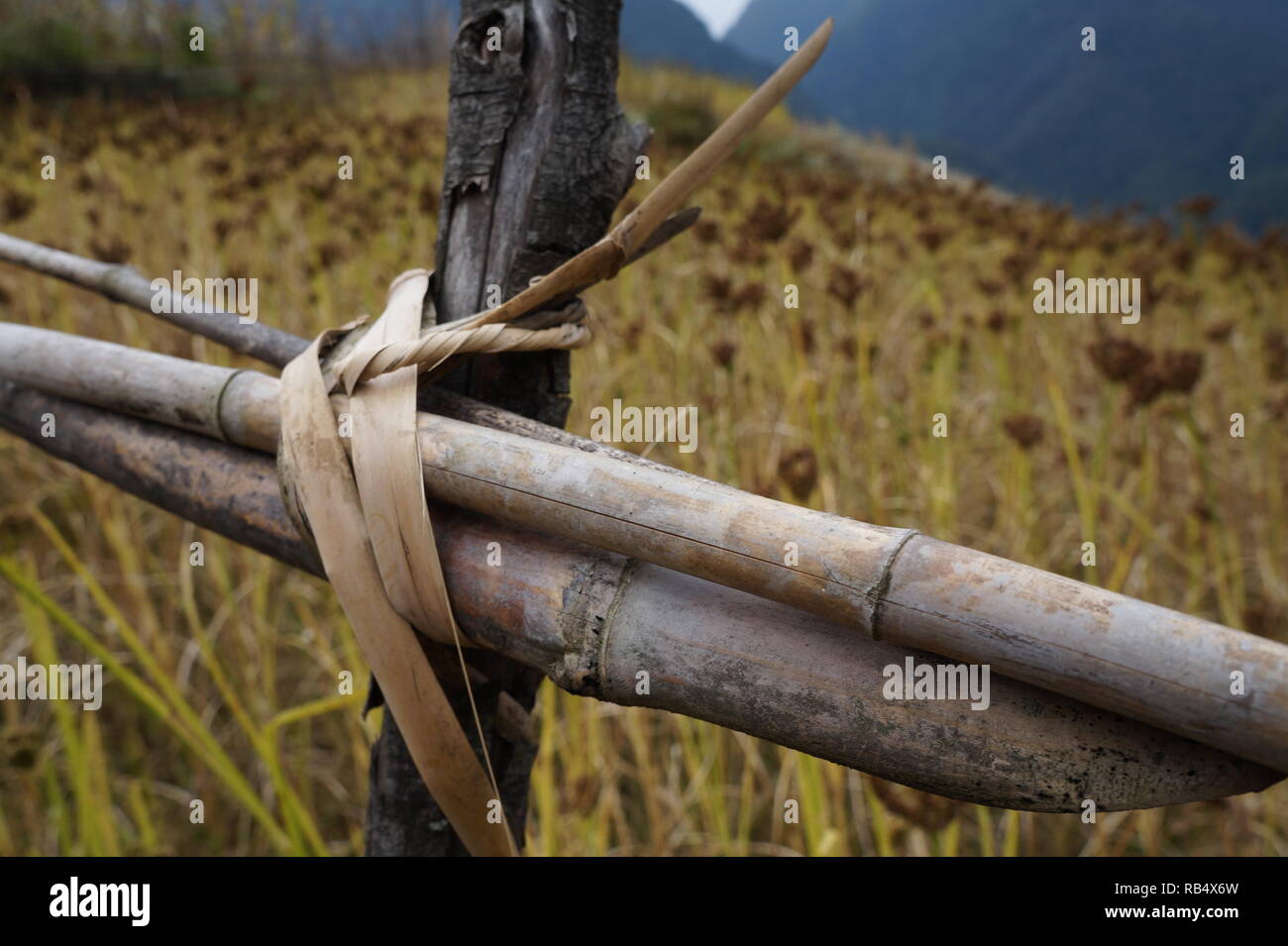 Mixed images hi-res stock photography and images - Alamy