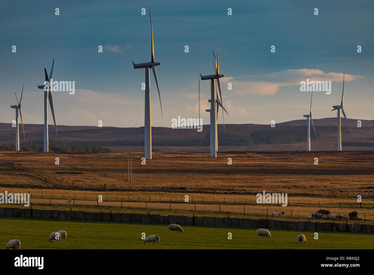 Wind farm turbines at sunset Stock Photo - Alamy