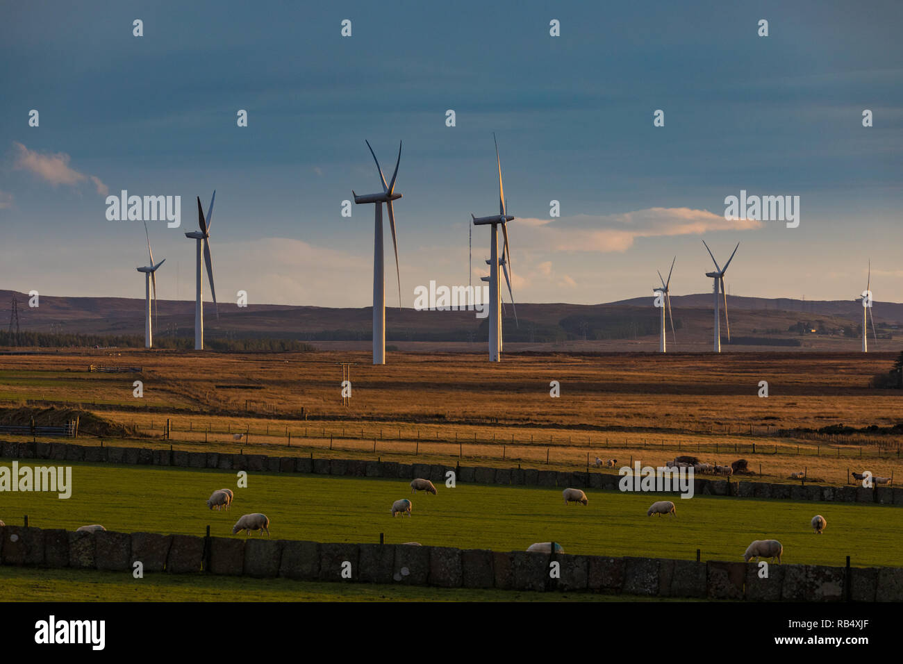 Thurso wind farm hi-res stock photography and images - Alamy