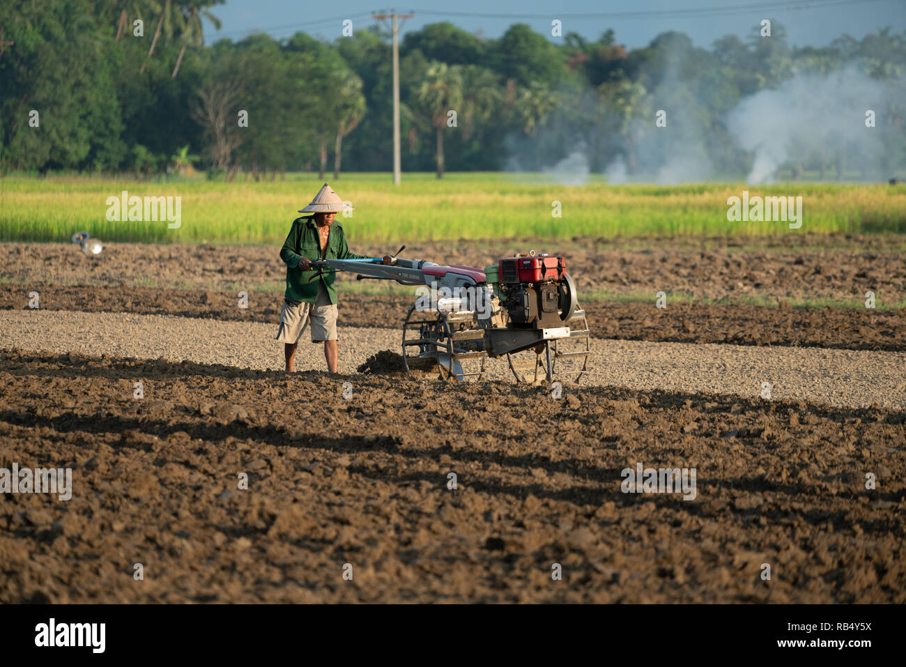 Farmers planting rice in Hpa-an, Myanmar Stock Photo - Alamy