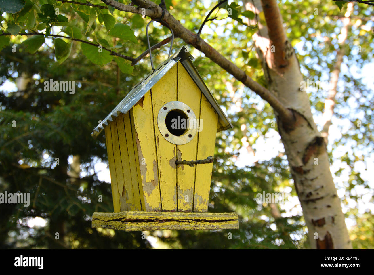 Home for wild birds hi-res stock photography and images - Alamy