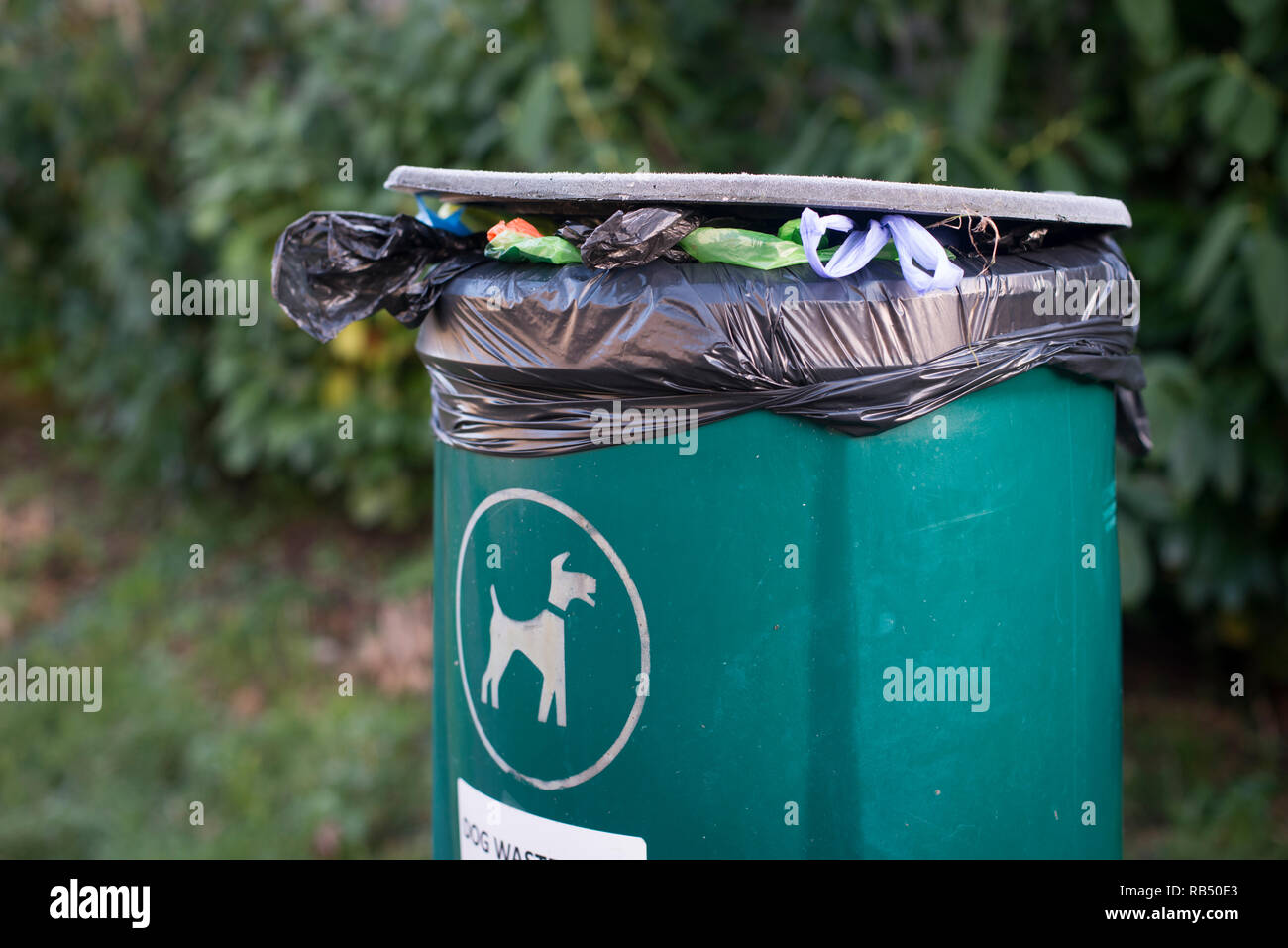 Overflowing dog mess bin hi-res stock photography and images - Alamy