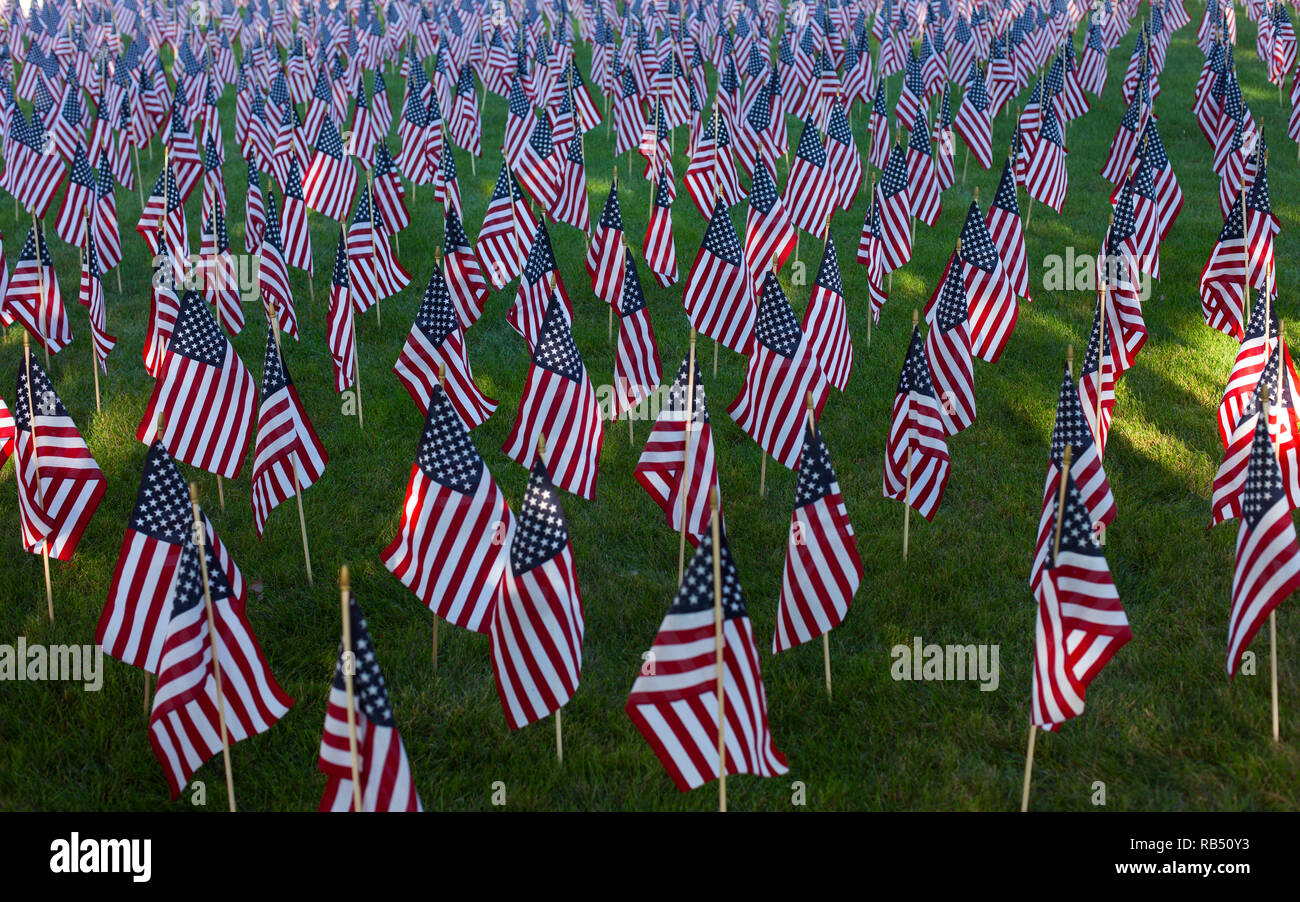 Field of US Flags Stock Photo - Alamy