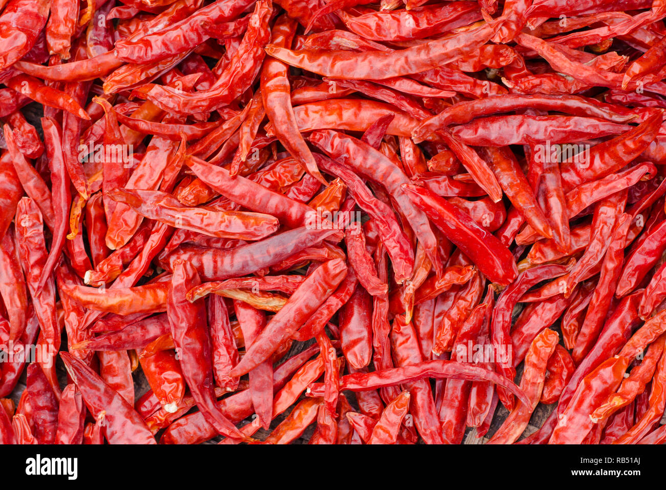 Red chilli background Stock Photo - Alamy