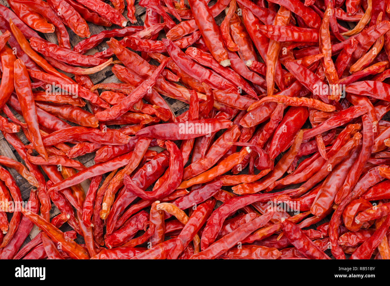 Red chilli background Stock Photo - Alamy