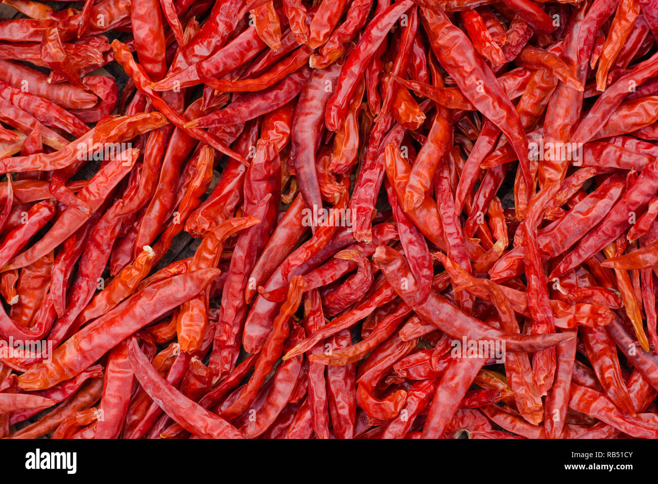 Red chilli background Stock Photo - Alamy