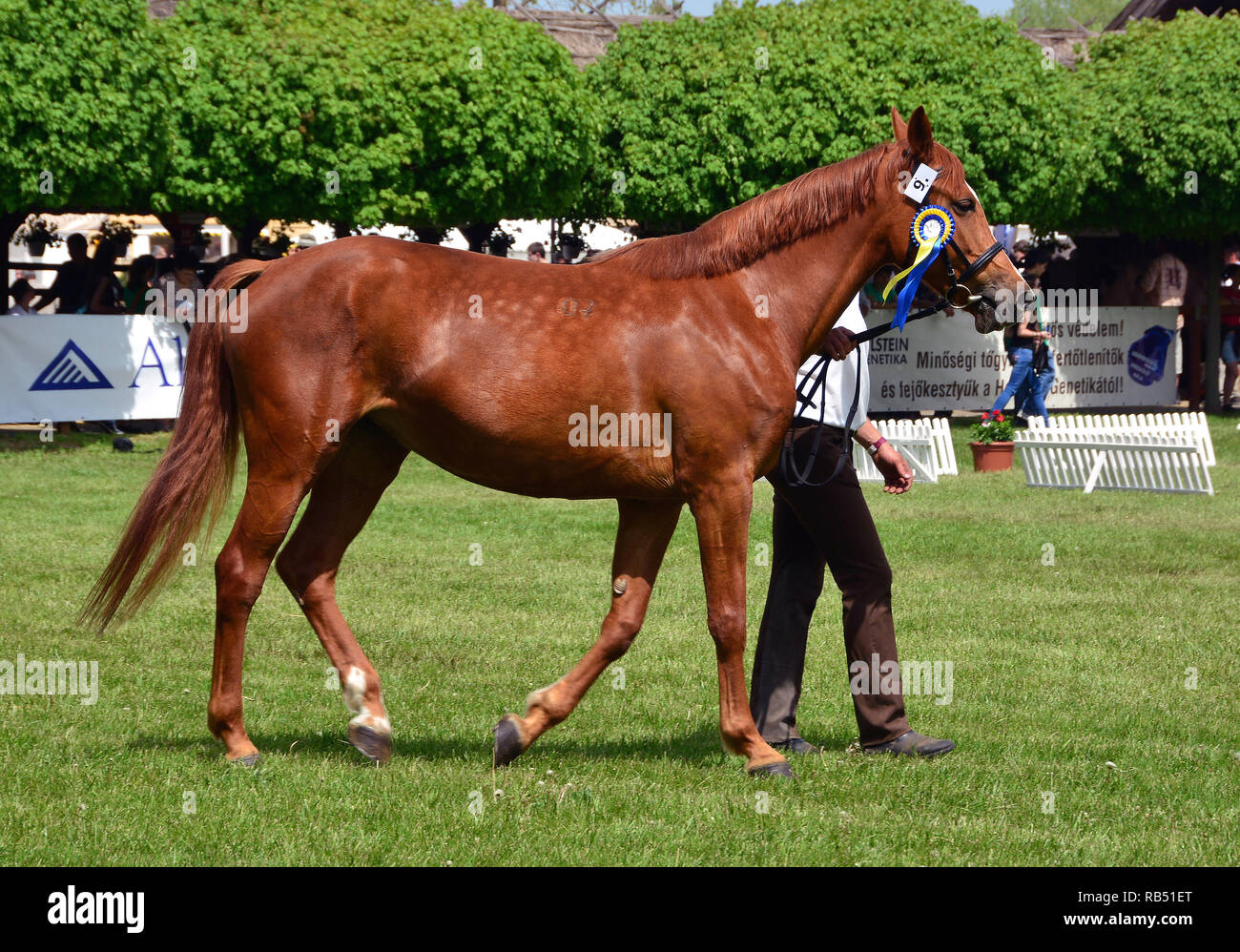 Noniusz hi-res stock photography and images - Alamy