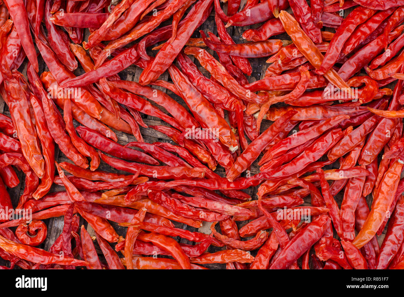 Red chilli background Stock Photo - Alamy