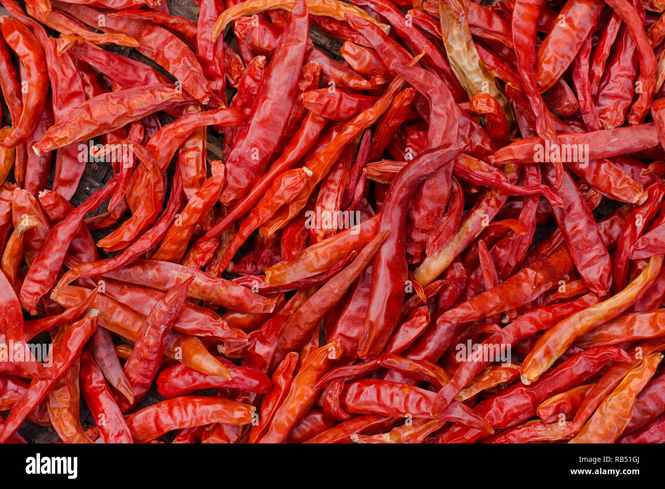 Red chilli background Stock Photo - Alamy