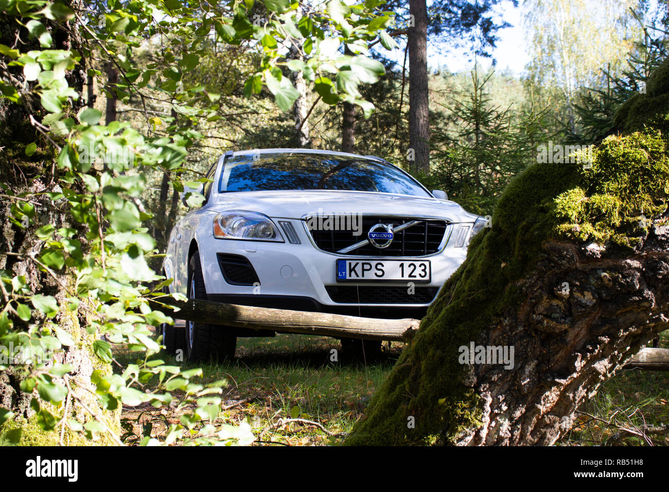 Car in a forest Stock Photo - Alamy
