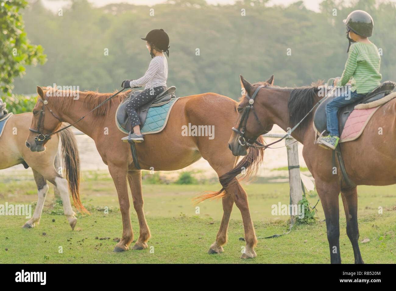 Kids learn to ride a horse near the river before sunset Stock Photo - Alamy