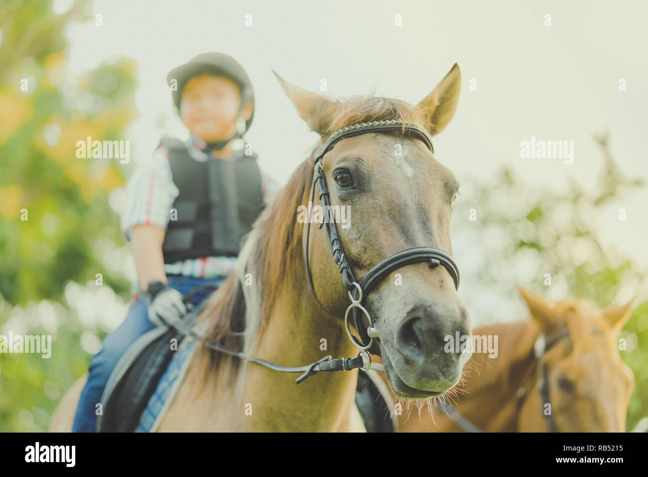Kids learn to ride a horse near the river before sunset Stock Photo - Alamy