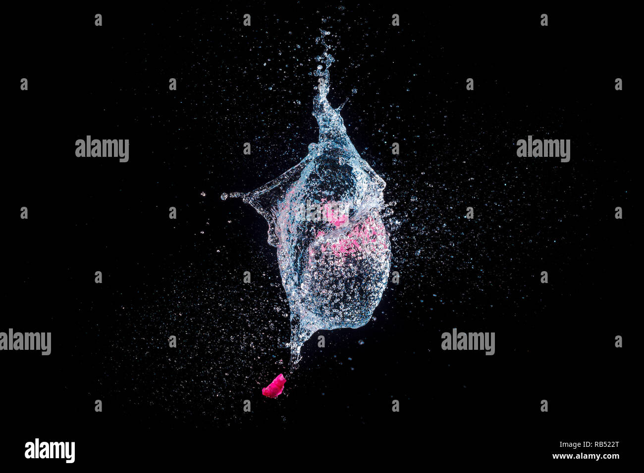 amazing explosion of isolated water balloon on black background with ...