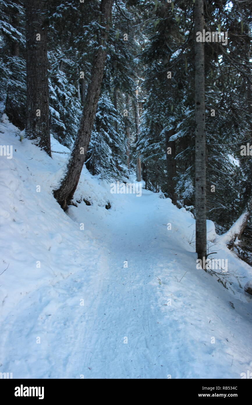 The forest is calling and i must go hi-res stock photography and images ...