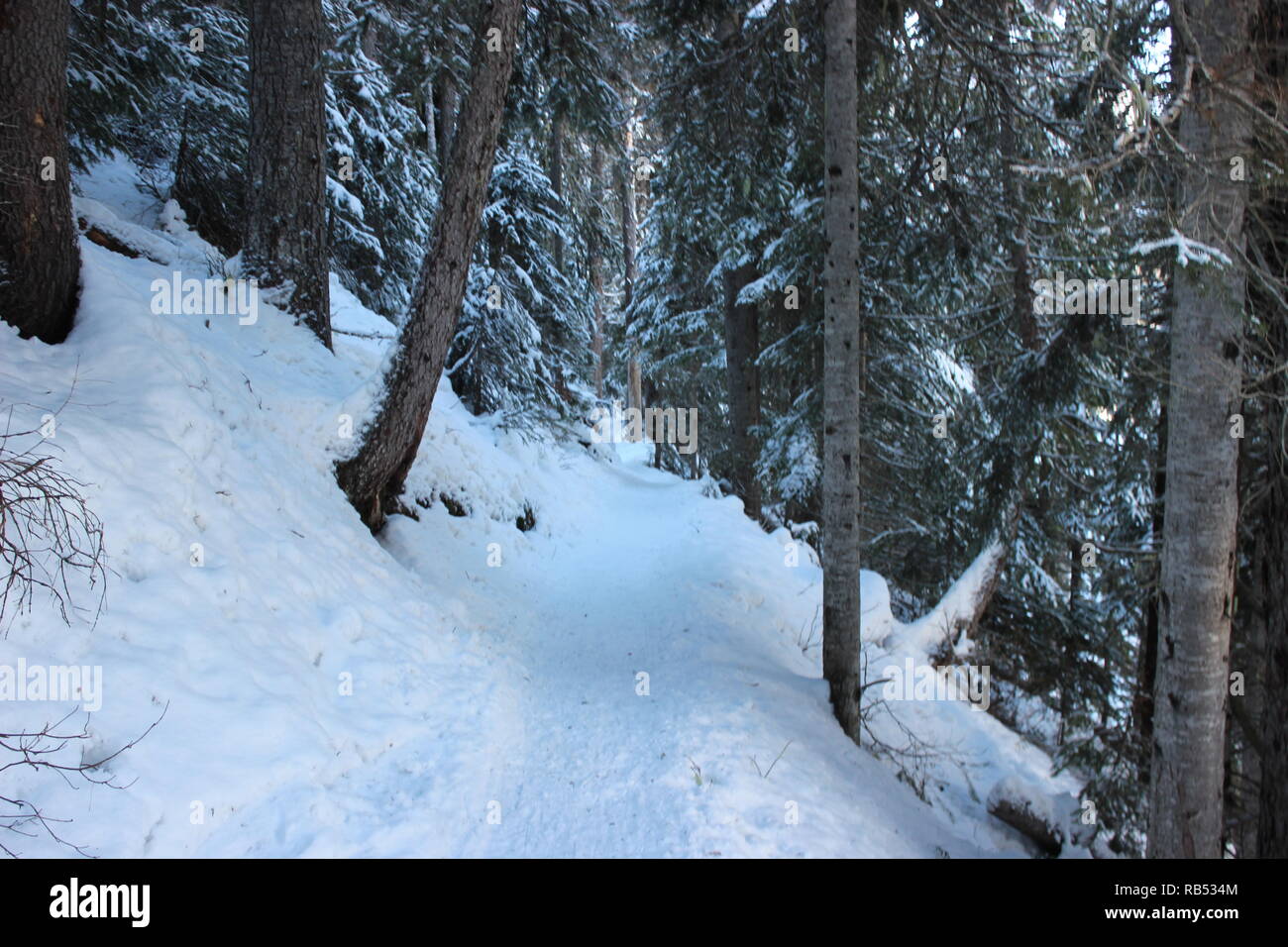 Clear path pathway hi-res stock photography and images - Alamy