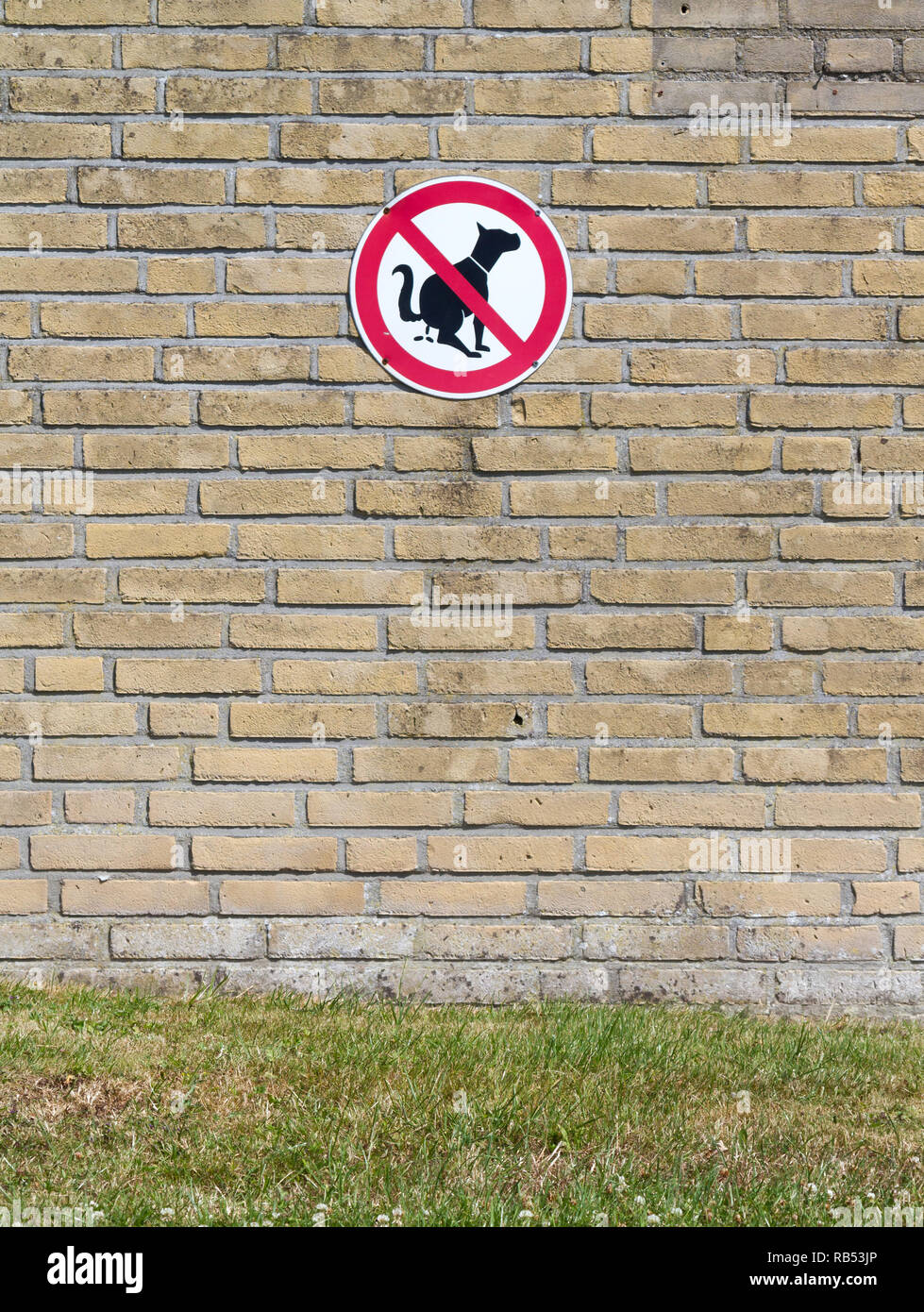 No dog poop sign, hanging on a brick wall Stock Photo - Alamy